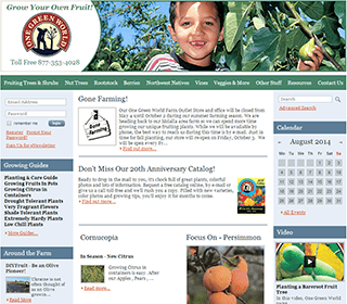 Parthenon Software | Our Work