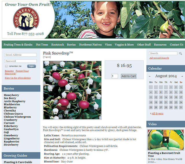 Parthenon Software | Our Work